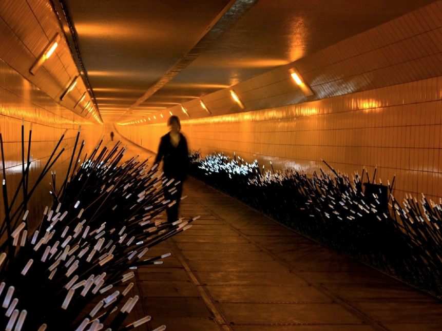 Interactive Landscapes